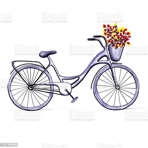 흰색 배경에 회색 수채화 자전거입니다 빨간색과 노란색 꽃 유행 힙스터 고립 된 개체와 바구니와 손 그리기 자전거 귀여운에 대한 스톡 벡터 아트 및 기타 이미지 Istock
