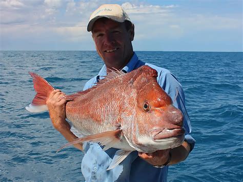 How To Catch Snapper The Best Guide For Beginners In 2024