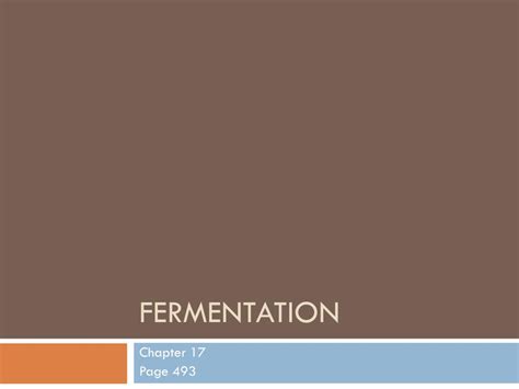 Ppt Fermentation Powerpoint Presentation Free Download Id