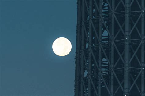 【減る暴力団、増える半グレ】様変わりする組織犯罪 時代に合わせた対策の見直しが必要 Wedge Onlineウェッジ・オンライン