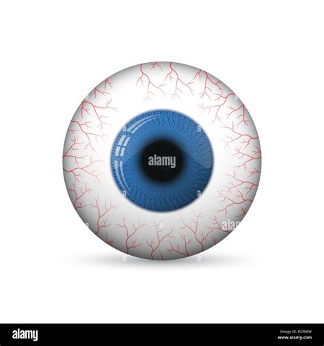 Eye illustration Imágenes recortadas de stock Alamy
