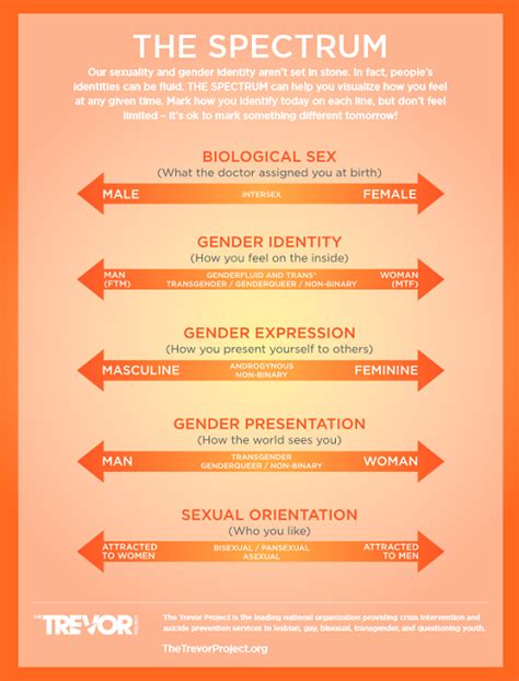 Sexuality Spectrum Printable Worksheet Some People Are Attracted To