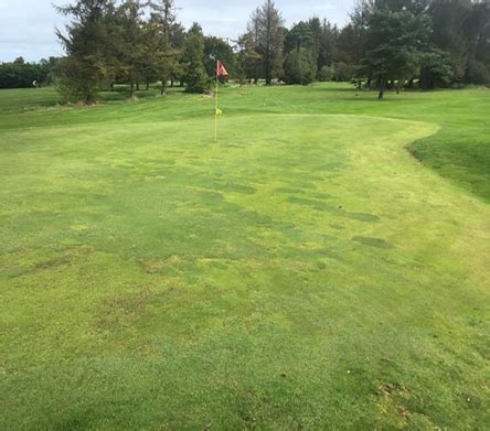 Best Management Practices To Control Anthracnose Turfgrass
