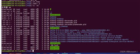大数据技术原理及应用课实验1 熟悉常用的linux操作和hadoop操作大数据技术原理与应用实验报告 Csdn博客