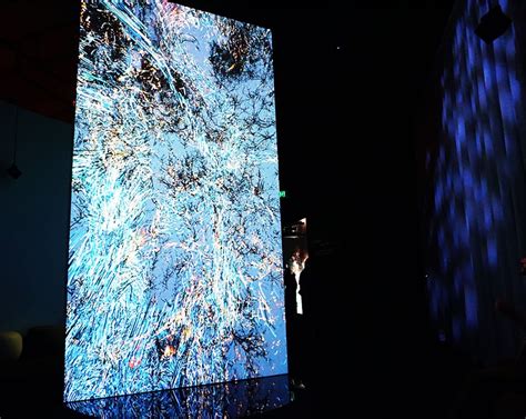 Marshmallow Laser Feasts Works Of Nature ACMI TOT HOT OR NOT