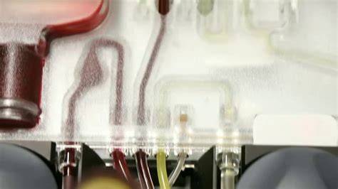 Nobel De Medicina Para Los Descubridores Del Virus De La Hepatitis C El Correo