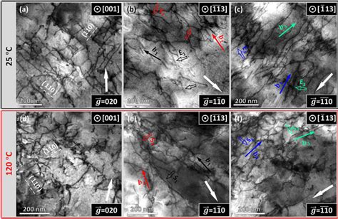 Dislocation Structures In Punched Tungsten At 25 °c A C And 120 °c
