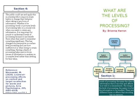 Application Assignment Pemphlet What Are The Levels Of Processing By