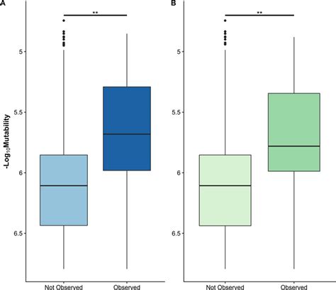 mutability of all theoretically possible codon substitutions not