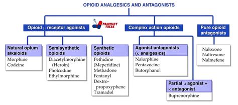 Classification Of Opioid Analgesics And Antagonists Pharmacy Freak