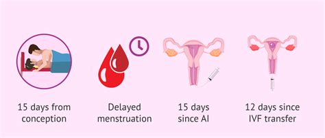 Pregnancy Test Day Period Due At Donald Pepper Blog