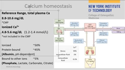 Lecture 97 Calcium Phosphate Homeostasis Flashcards Quizlet