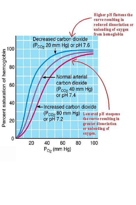 Oxygenhemoglobin Dissociation Curve Mnemonic Youtube