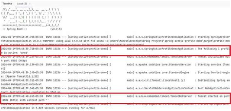 Setting Active Profile And Config Location From Command Line In Spring