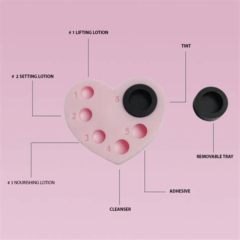 Lash And Brow Silicone Palette Ilevel Lab