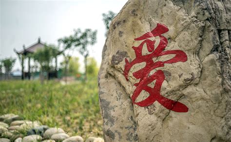 石家庄一中东校区 石家庄市第一中学东校区 石家庄一中实验学校 招生 小升初 石家庄市第一中学东校区