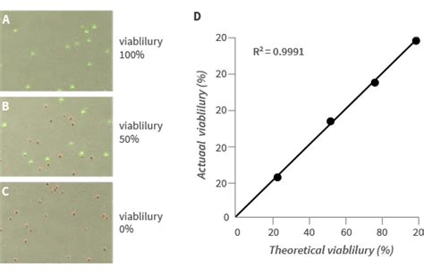 Fast Cell Counting And Viability Measurement Of Yeast Cells With The