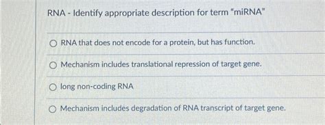 Solved RNA - ﻿Identify appropriate description for term | Chegg.com