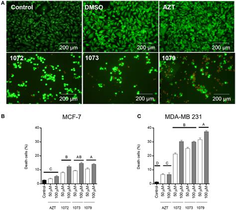 Livedead Cell Viability Assay Representative Figures Of Mda Mb 231