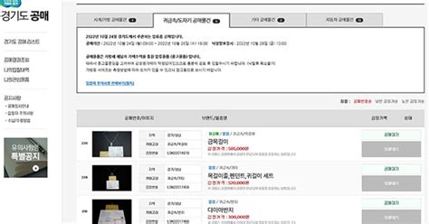 성남시 귀금속·자동차 등 체납자 압류 물품 온라인 공매