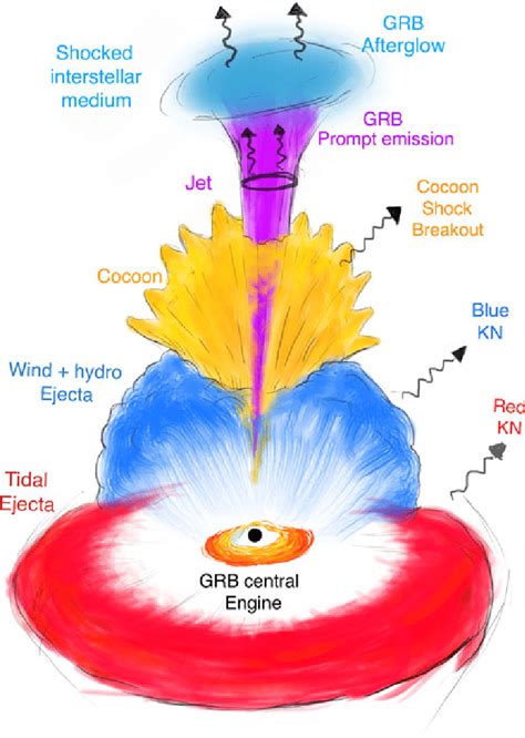 Artistic Representation Of The Scenario Following An Ns Nsns Bh Download Scientific Diagram