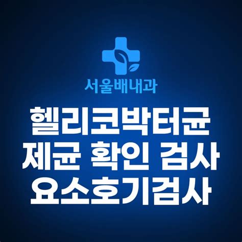 헬리코박터 제균치료 성공 Vs 실패 확인검사는 요소호기 검사 Ubt 검사 네이버 블로그