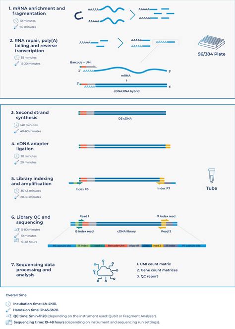 Multiplexed Rna Seq Kit Mrna Early Access Alithea Genomics Store