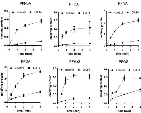 Cellular PFAS Levels In Transporter Transfected Cells OAT4 Or