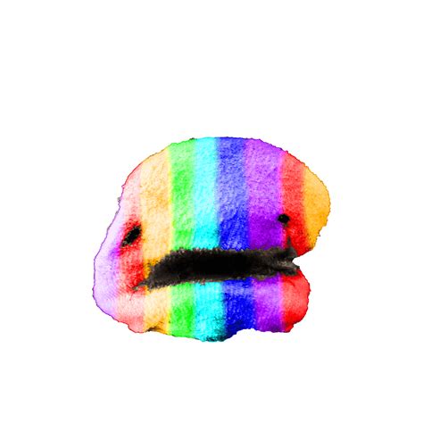 Raindow Robin Fan Bears Wiki Fandom