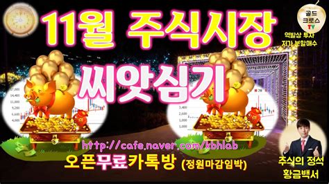 주식 투자 11월 주식 시장은 황금 씨앗심기 직장인 재테크 성공투자 주도주 선점하기 황금백서 Youtube