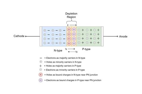 What Is The Polarity Of Led Lights