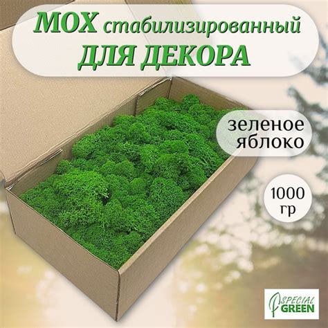 Мох стабилизированный ягель для декора 1000 гр, мох декоративный ...