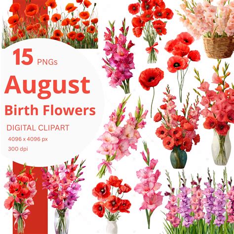 August Birth Flower Clipart Png Floral Watercolor Clip Art Poppy