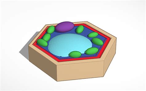 3d Design Plant Cell Tinkercad