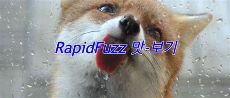 Rapidfuzz