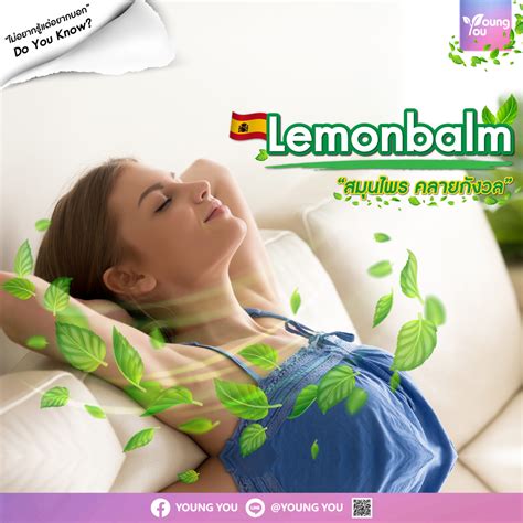 Lemon balm สมนไพรคลายกงวล NAP Biotec Co Ltd