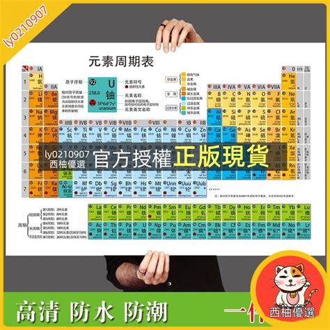 西柚優選 化學元素週期錶掛圖中文版中學學習海報墻貼高清防水防潮撕不爛元素週期表週期元素表週期表元素化學元 蝦皮購物
