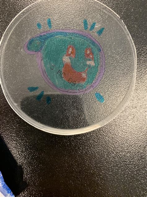 Im Not Really A Great Artist But I Made A Blobbo Shrinky Dink In Ap