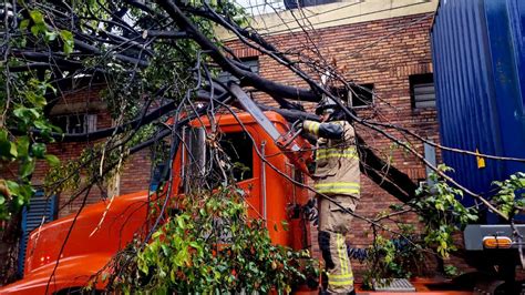 Bogotá En Alerta Hay Riesgo Por La Caída De árboles Van 143 Volcados