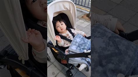 아기의 유모차 산책 Youtube