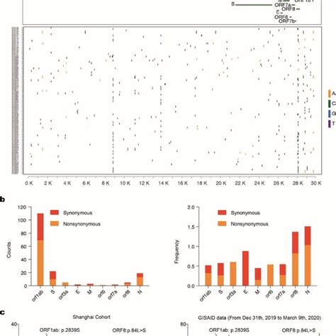 Figure S2 Characteristics Of Single Nucleotide Variations In 112 Download Scientific Diagram