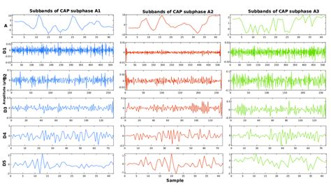 The Waveform Of Subbands Derived From The Wavelet Decomposition Of Cap