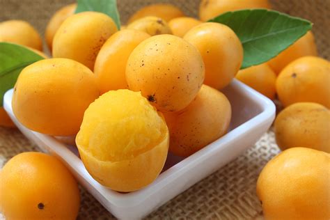 Scents Of Brazil Hog Plum ~ Fragrances And Cultures