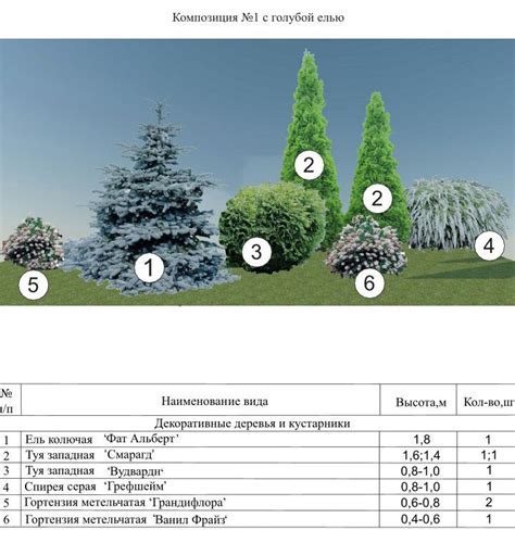 Ландшафтная композиция с голубой елью Landscape Green Design