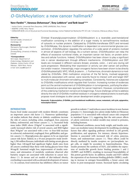 Pdf O Glcnacylation A New Cancer Hallmark