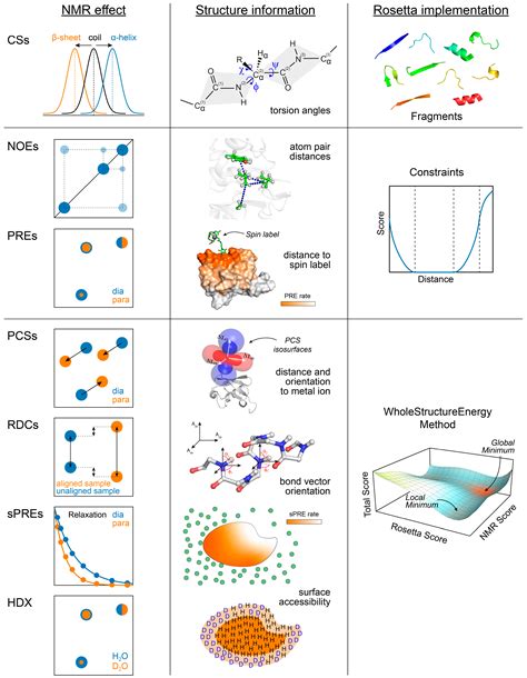 How Does Nmr Determine Protein Structure At Matthew Driscoll Blog