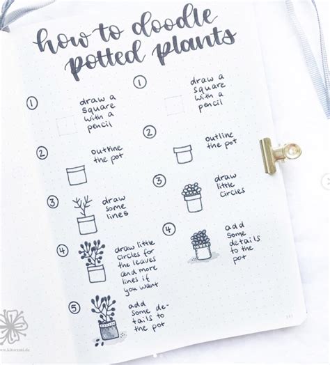 How To Draw Succulents With Easy Step By Step Tutorials