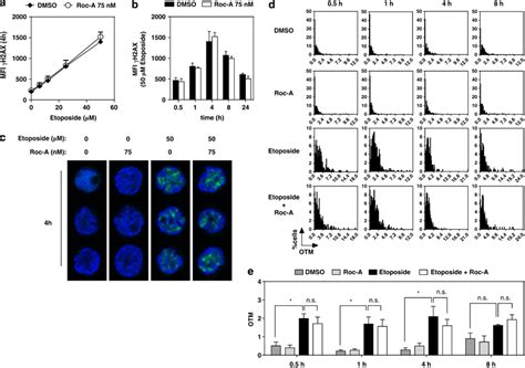 Roc A Does Not Protect T Cells From Genotoxin Induced Dna Damage A