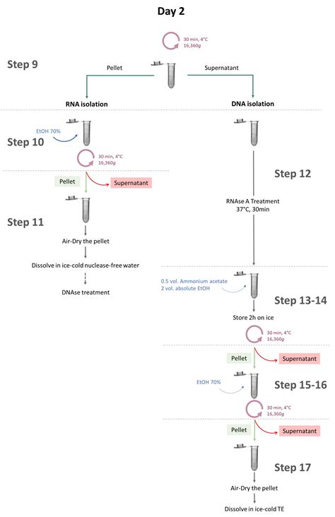 One Prep To Catch Them All 2 In 1” An Efficient Method For The Simultaneous Extraction Of Dna