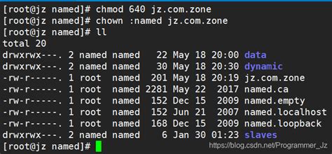 Centos6配置dns指南 Csdn博客